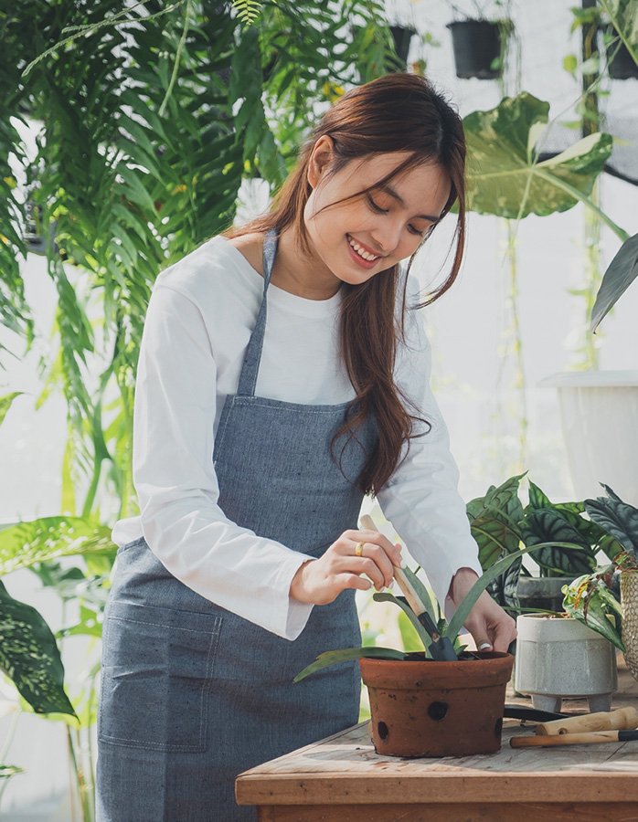 Lawn Mowing Ipswich: Fast & Reliable Grass Cutting Services